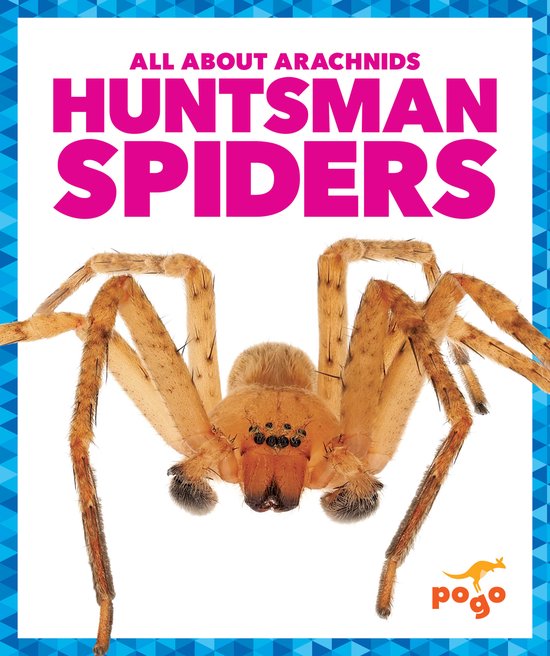 All About Arachnids- Huntsman Spiders, Jenna Lee Gleisner ...