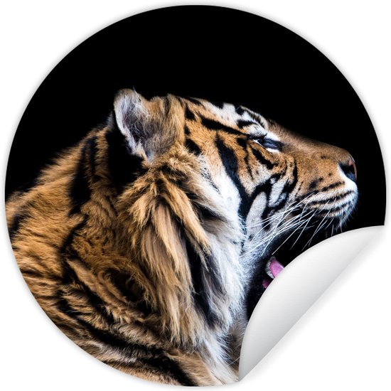 WallCircle - Muurstickers - Behangcirkel - Tijger - Dieren - Portret - ⌀ 120 cm -... | bol