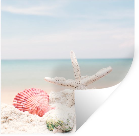 Muurstickers - Sticker Folie - Zeester - Schelpen - Zee - 30x30 cm ...
