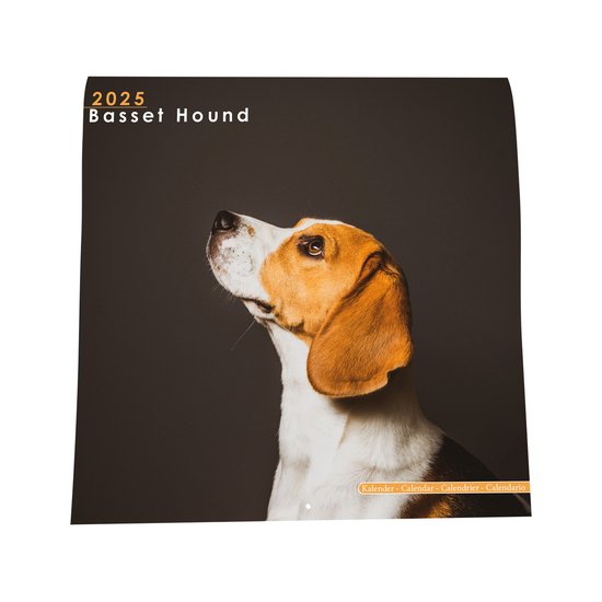 Beagle Kalender 2025 - 22x22cm - 1 September 2024 t/m 31 december 2025 ...
