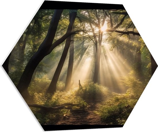 PVC Schuimplaat Hexagon - Bos - Planten - Bomen - Zonnestralen - Zon ...