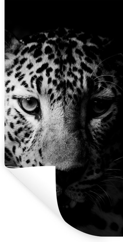 Muurstickers - Sticker Folie - Panter - Wilde dieren - Zwart wit - Dieren - 20x40 cm -... | bol