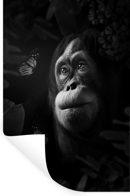 Muurstickers - Sticker Folie - Aap die naar vlinders kijkt in de jungle - zwart wit -... | bol