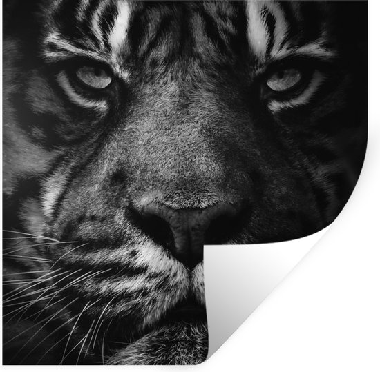 Muurstickers - Sticker Folie - Dieren - Tijger - Wild - Zwart - Wit - 100x100 cm -... | bol