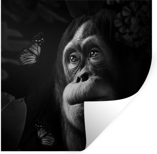 Muurstickers - Sticker Folie - Vlinder - Aap - Jungle - Zwart - Wit - 100x100 cm -... | bol