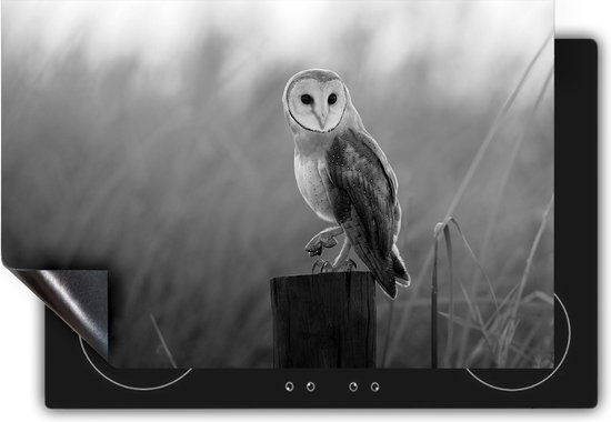 Chefcare Inductie Beschermer Kerkuil op een Boomstronk - Zwart Wit ...