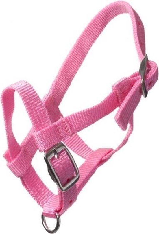 HB Nylon Halster - Miniveulen - Roze | bol