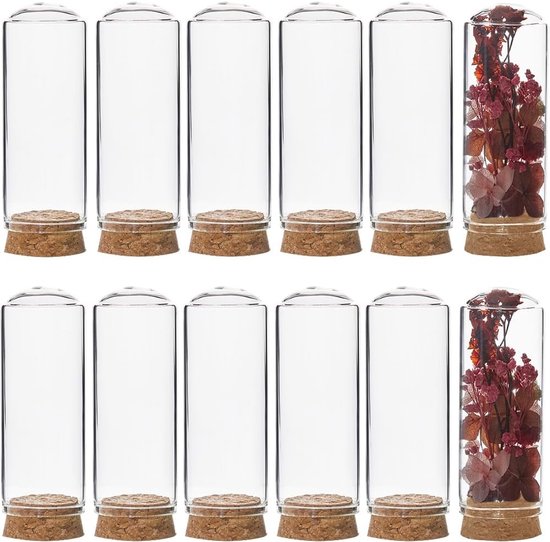 12Pcs Mini Cloche Dome - 30x80m Mini Display Bell Jar met Kork Basis ...