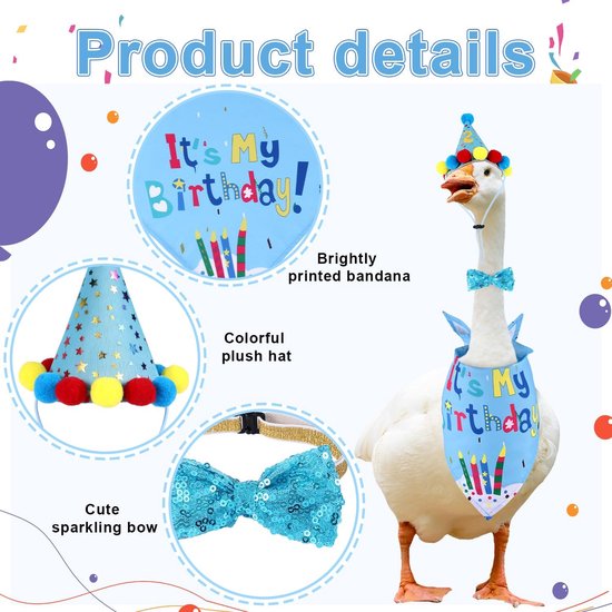 BOXOB Happy Birthday Porch Goose Outfits, Goose Costume Clothes ...