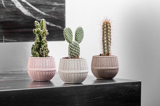 Set van 4 kleine bloempotjes met drainage kunststof met brei en/of ...