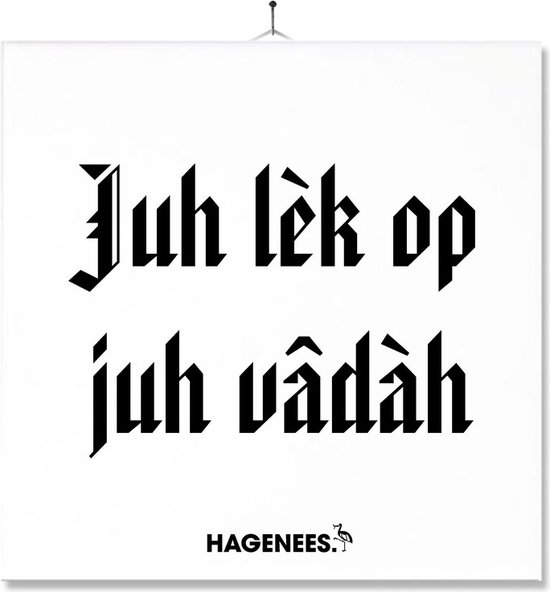 Tegel Met Opdruk | Haagse tekst | bol