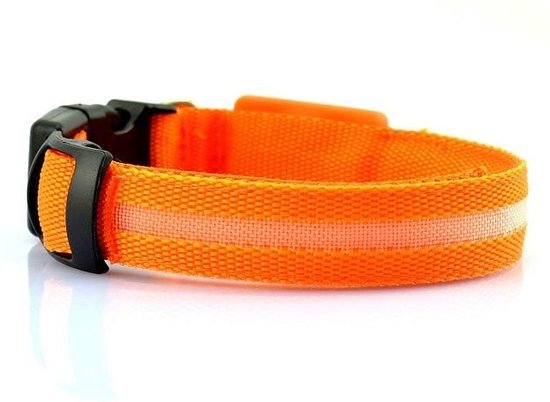 Led>Halsband>Hond>Kat>oranje/orange>products Of Elite | bol