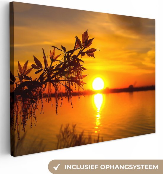 OneMillionCanvasses - Canvas - Zon - Water - Tak - Bladeren - Canvasdoek - 160x120 cm... | bol
