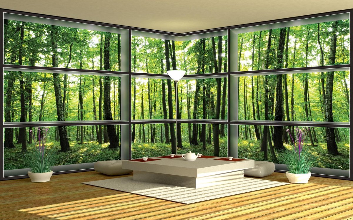 Fotobehang Vlies Bos, Natuur | Groen | GROOT 832x254cm | bol.com