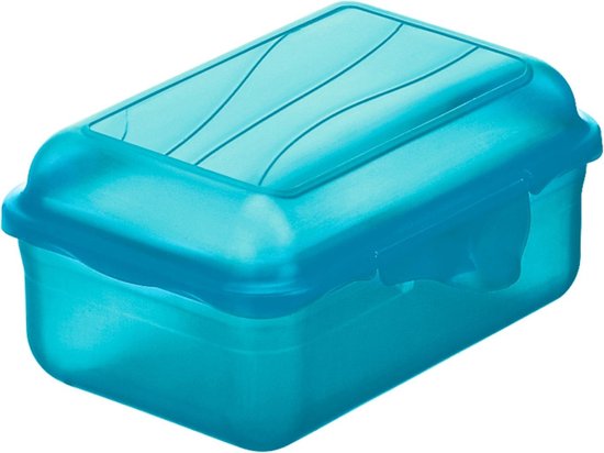 Rotho lunchbox FUN 0,4 l (12 x 9 x 6 cm) transparant 400 ml | bol