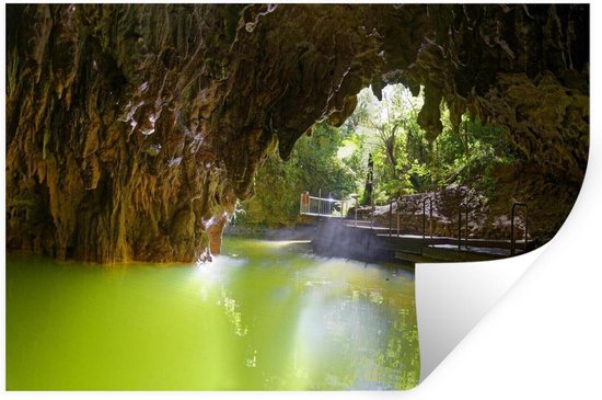 Muurstickers - De uitgang van de grotten bij Waitomo in Nieuw-Zeeland ...