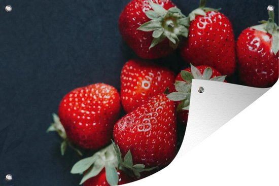 La couleur rouge des fraises affiche de jardin 180x120 cm - Toile de ...