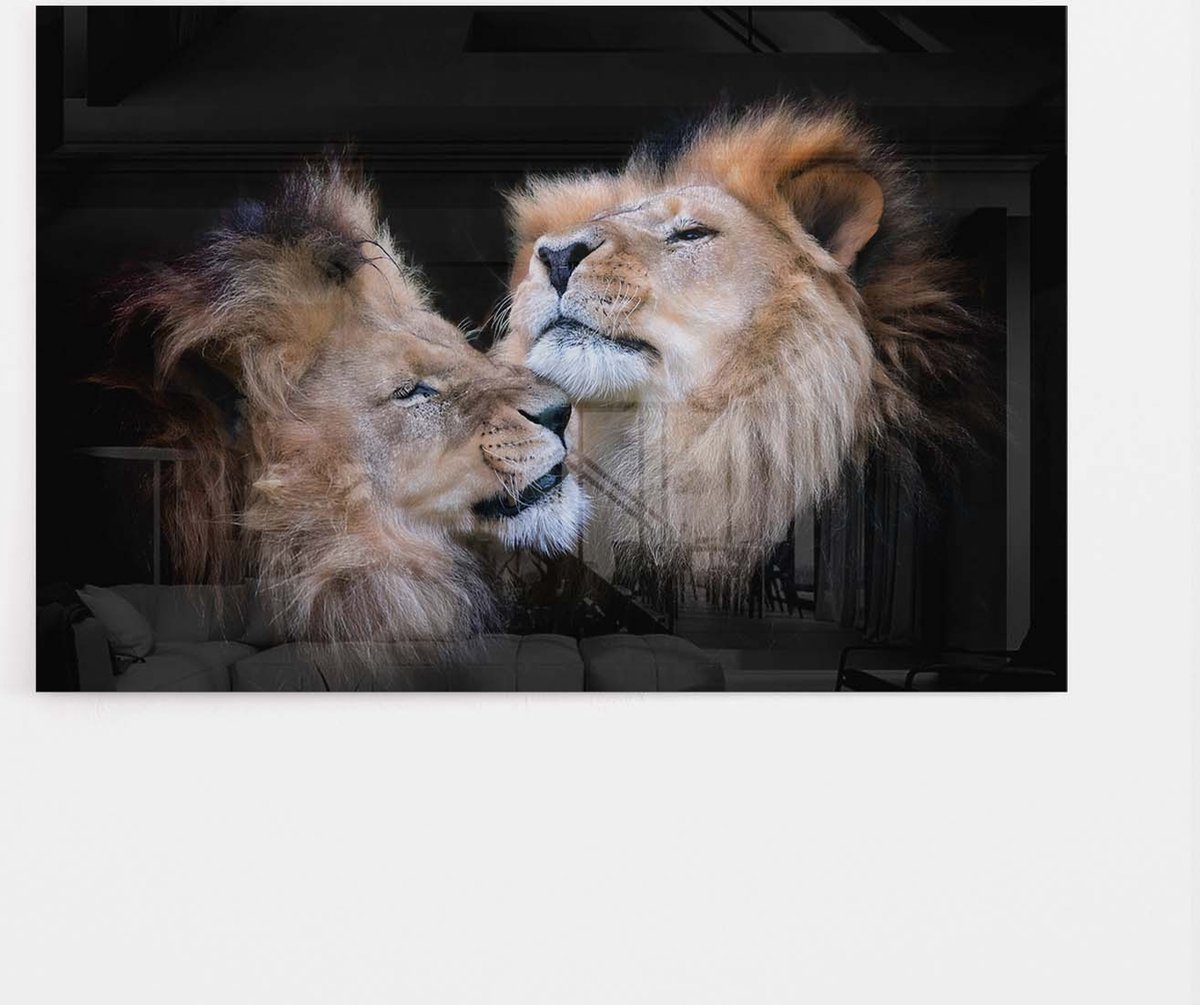 Leeuwen Portret | 40x30 cm | Dieren Leeuw | Glas schilderij Dieren ...