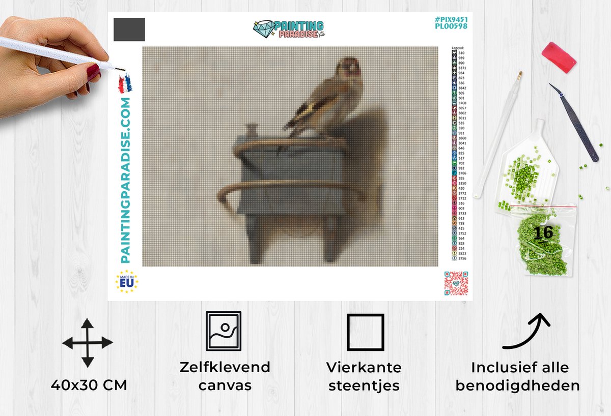 Diamond painting - Vierkante steentjes - Diamond painting volwassenen ...