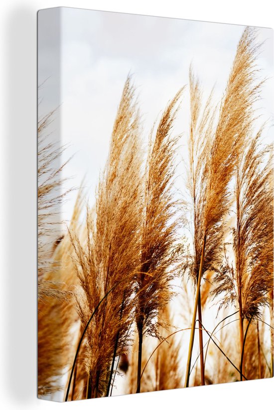 Canvas Schilderij Pampasgras - Zon - Gras - 90x120 cm - Wanddecoratie | bol