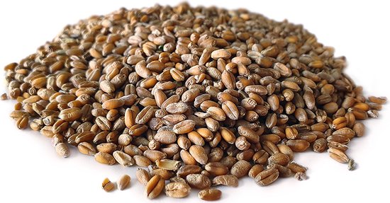 Tarwe 20KG | Karpervissen | Partikels | Karper Aas | Karper Vissen ...