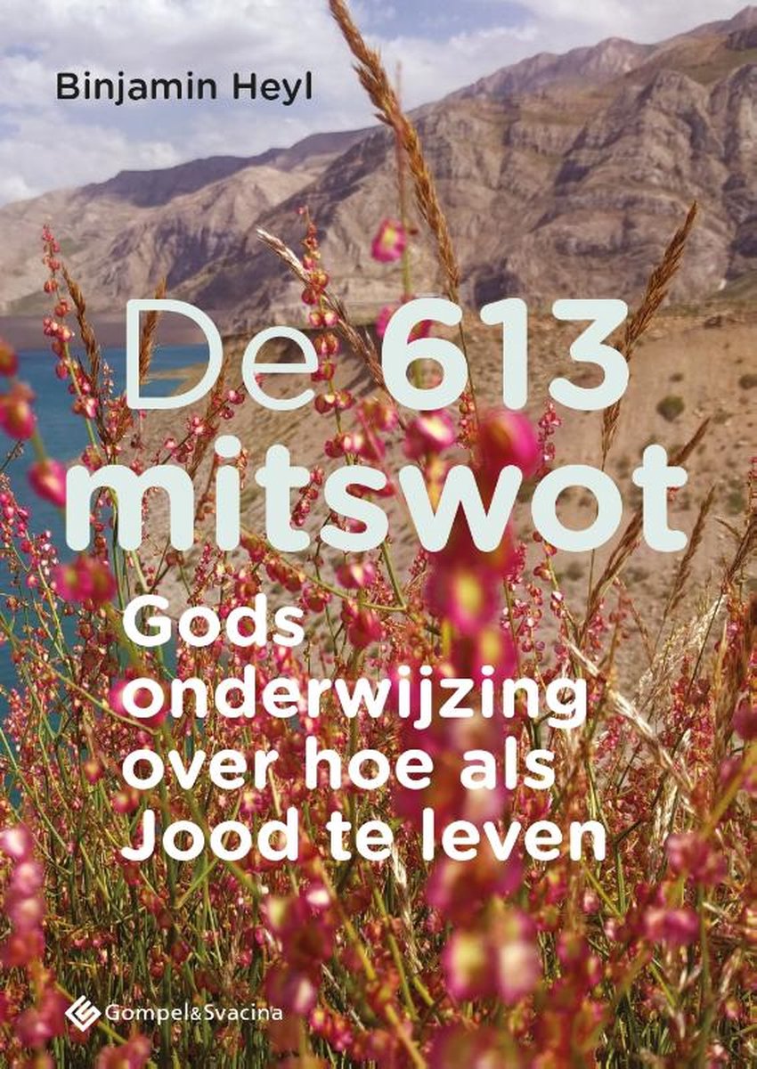 De 613 mitswot | 9789463712613 | Binjamin Heyl | Boeken | bol
