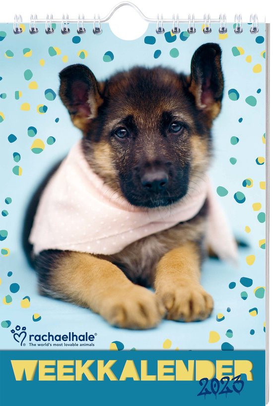 Rachael Hale Puppy's Weekkalender 2023 | bol.com