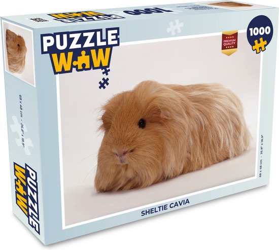 Puzzel Sheltie cavia - Legpuzzel - Puzzel 1000 stukjes volwassenen ...
