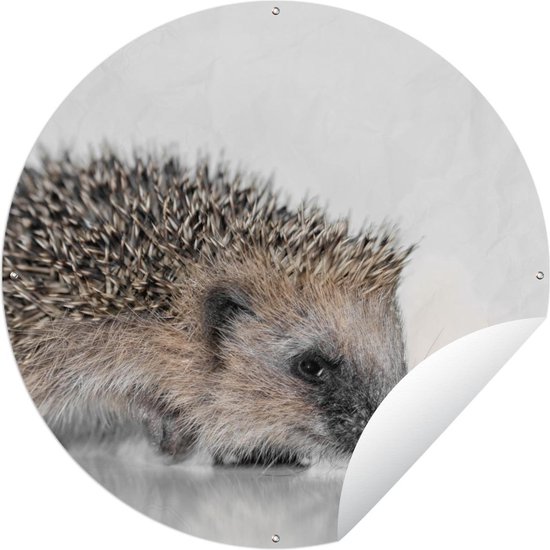 Garden Circle Hérisson - Wit - Marron - 90x90 cm - Affiche de Jardin ...