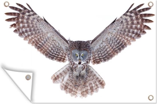 Tuinposter - Tuindoek - Tuinposters buiten - Vliegende uil - 120x80 cm - Tuin | bol