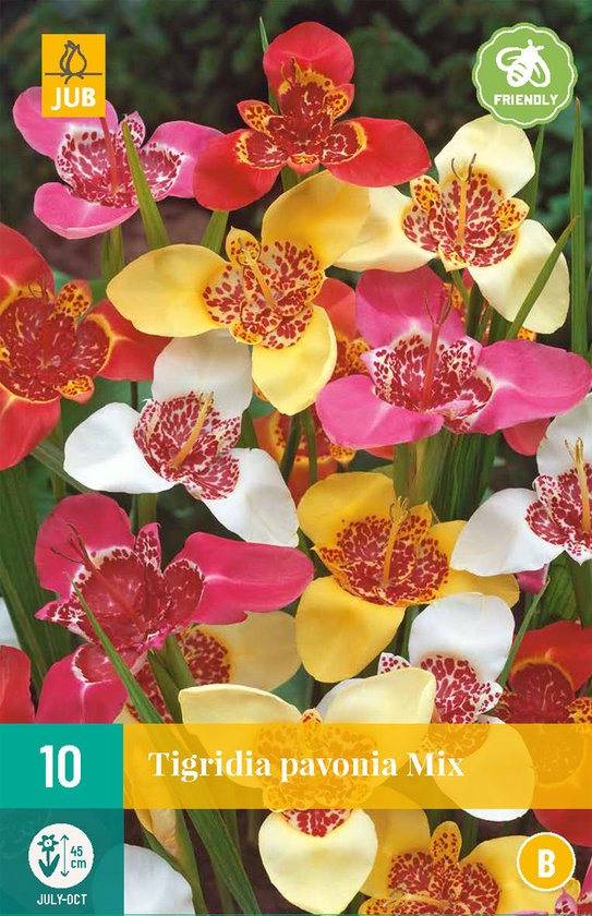 Tigridia pavonia mix - 10st - Bloembollen - JUB Holland | bol