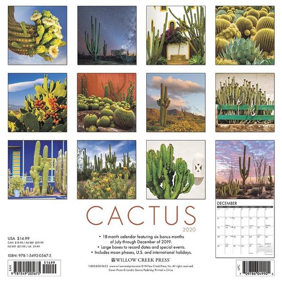 Cactus Kalender 2020 | bol.com