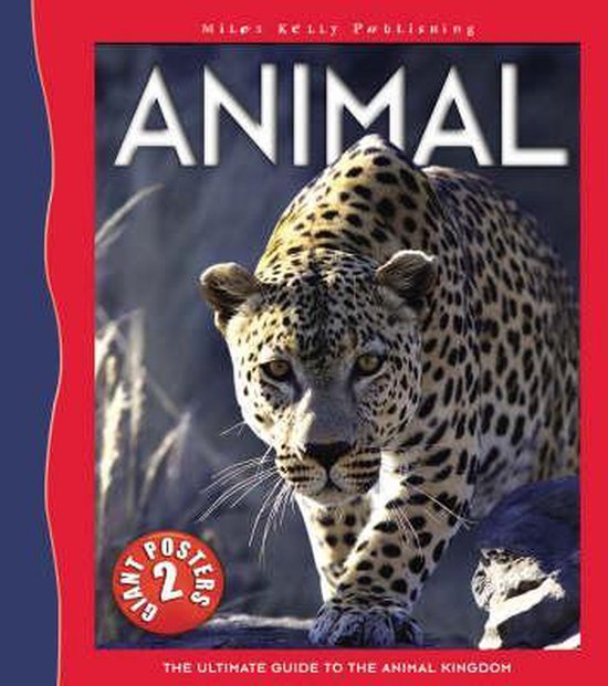 Animal Poster Book, John Farndon | 9781848100183 | Boeken | bol.com