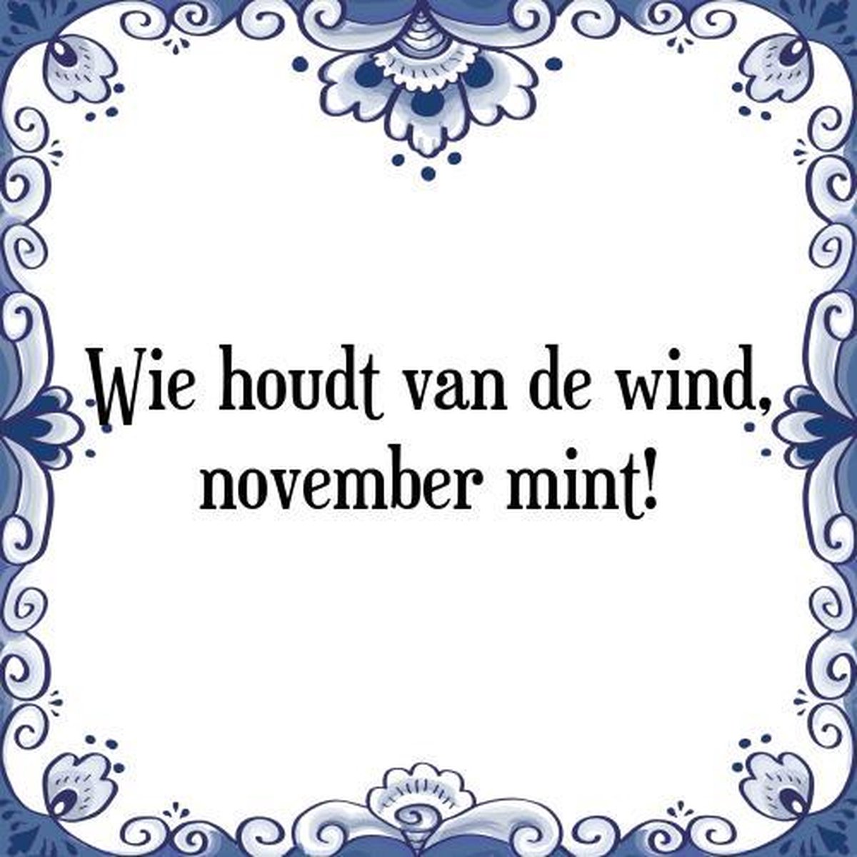 Tegeltje met Spreuk (Tegeltjeswijsheid): Wie houdt van de wind, november mint! + Kado... | bol.com