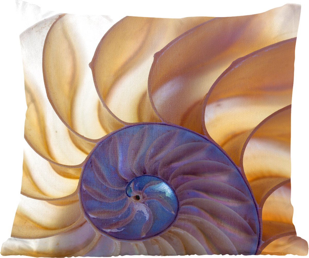 Schelp - Blauw - Zee | bol.com