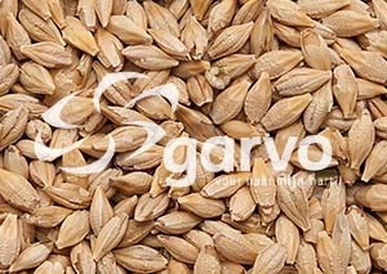 Garvo Duivengerst Blank en Dik 20 kg | bol