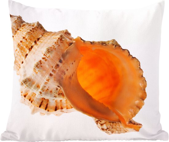 Schelp - Zee - Strand | bol.com