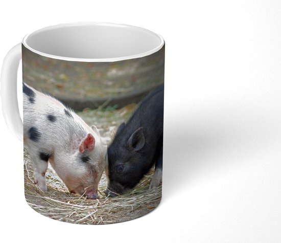 Mok - Koffiemok - Varkens - Biggen - Stro - Mokken - 350 ML - Beker ...
