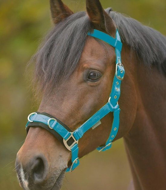 Economic Lunging Halter | bol.com