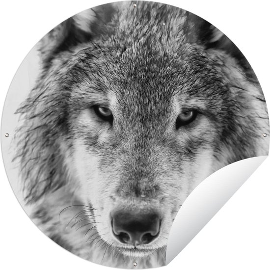 Tuincirkel Dierenprofiel wolf in zwart-wit - 150x150 cm - Ronde ...
