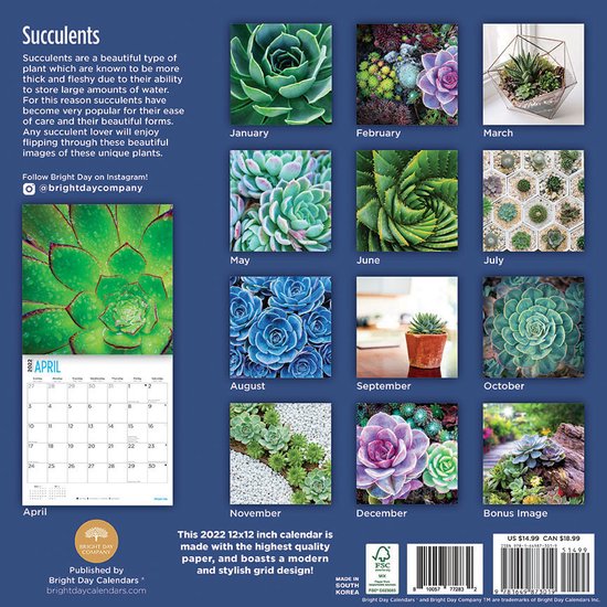 Succulents Kalender 2022 | bol.com