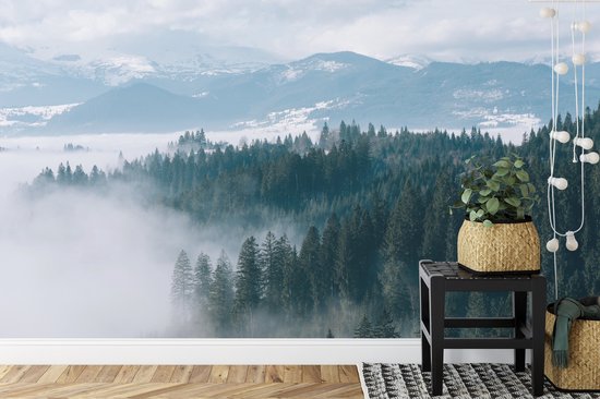 Fotobehang Bos In Mist | bol