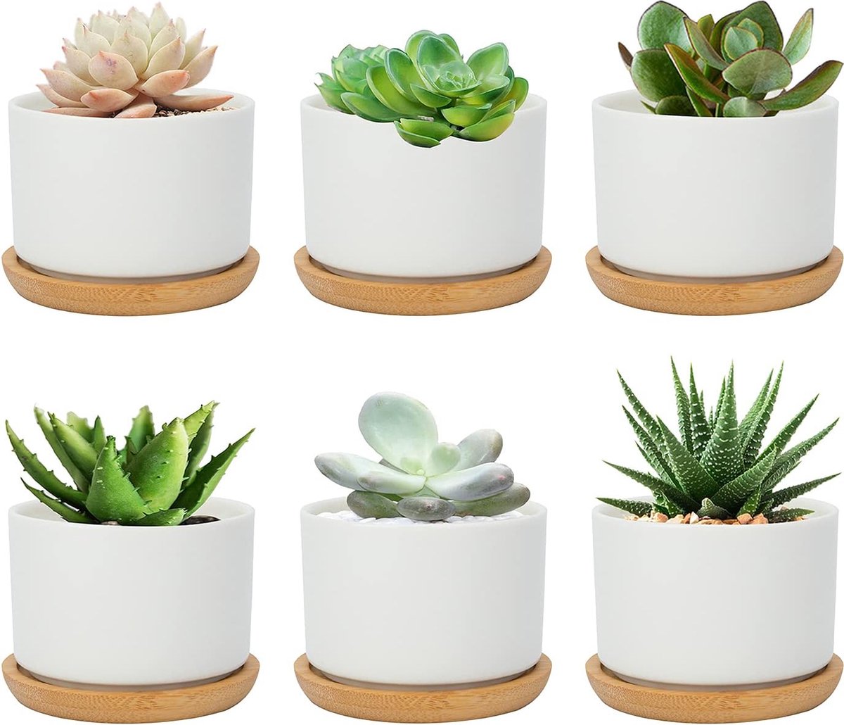 Pots de plantes succulentes de 7,5 cm, petit pot de fleur rond au ...