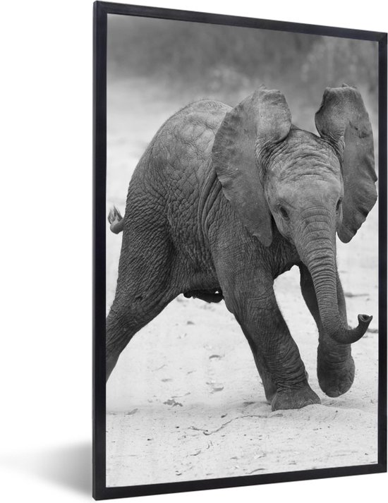 Fotolijst incl. Poster Zwart Wit- Olifant - Baby - Dieren - Pad - Zwart ...