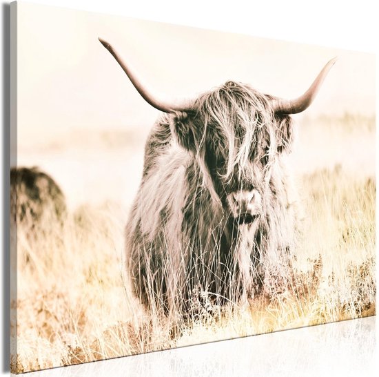 Schilderij - Scottish Giant (1 Part) Wide | bol