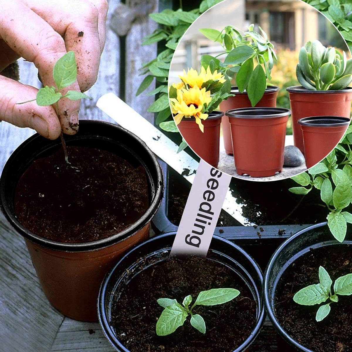 50-delige plastic plantenpotten, multifunctionele tuinplanter ...