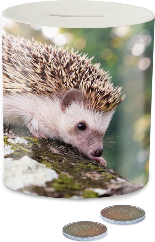 Spaarpot - Spaarblik - Baby - Egel - Boom - Spaarpotten - Volwassenen ...