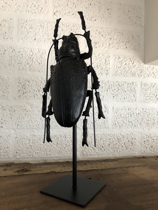 Kever polystone black op metalen stand, apart en fraai! | bol