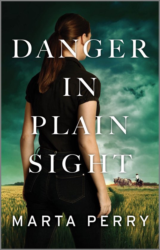 Danger in Plain Sight (ebook), Marta Perry | 9780369721150 | Boeken ...