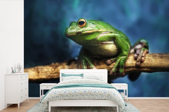 Behang - Fotobehang Australische Groene Kikker in Queensland - Breedte ...
